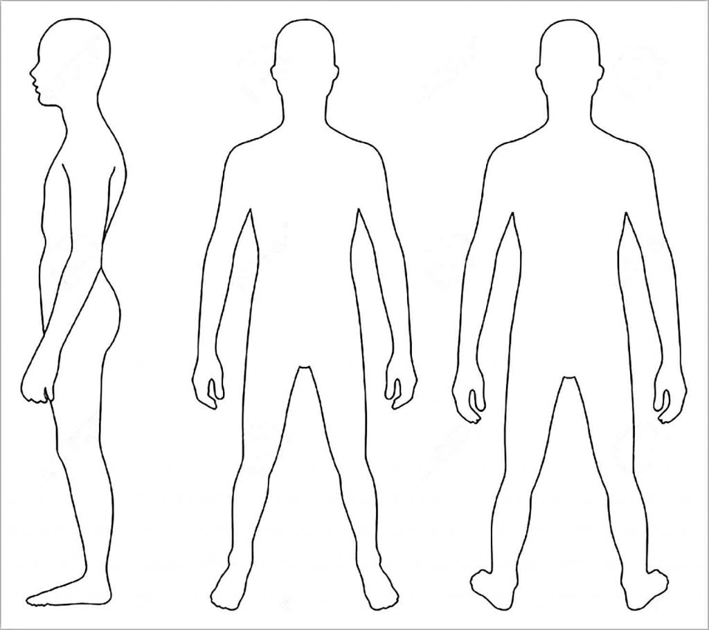 Sample Human Body Outline Template For The Learning Media To Draw 