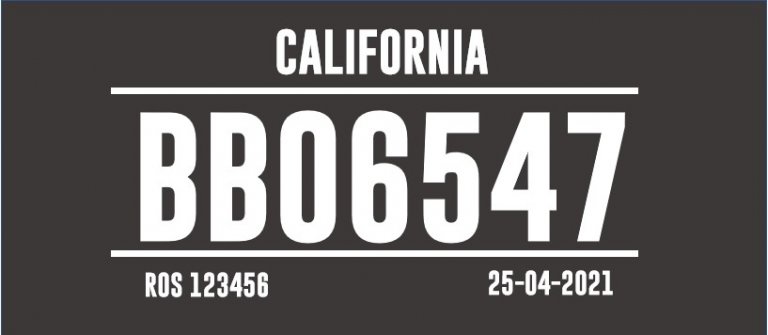 Printable License Plate Template | room surf.com