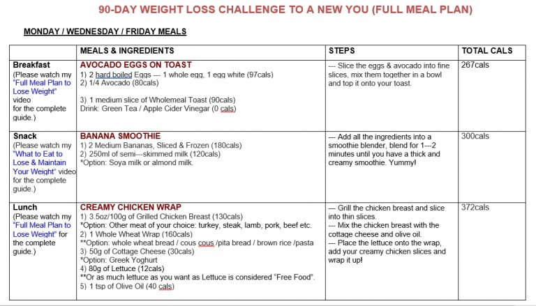 90 Day Workout Plan Template | room surf.com