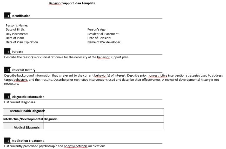 Behavior Support Plan Template | room surf.com