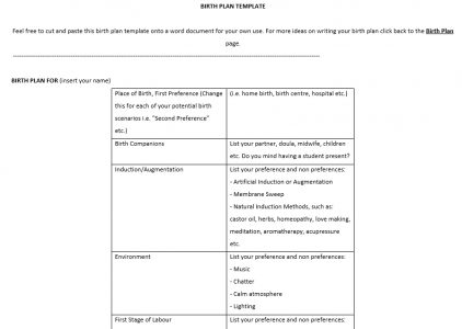 Birth Plan Template | room surf.com
