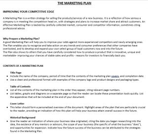 Advertising Plan Template | room surf.com