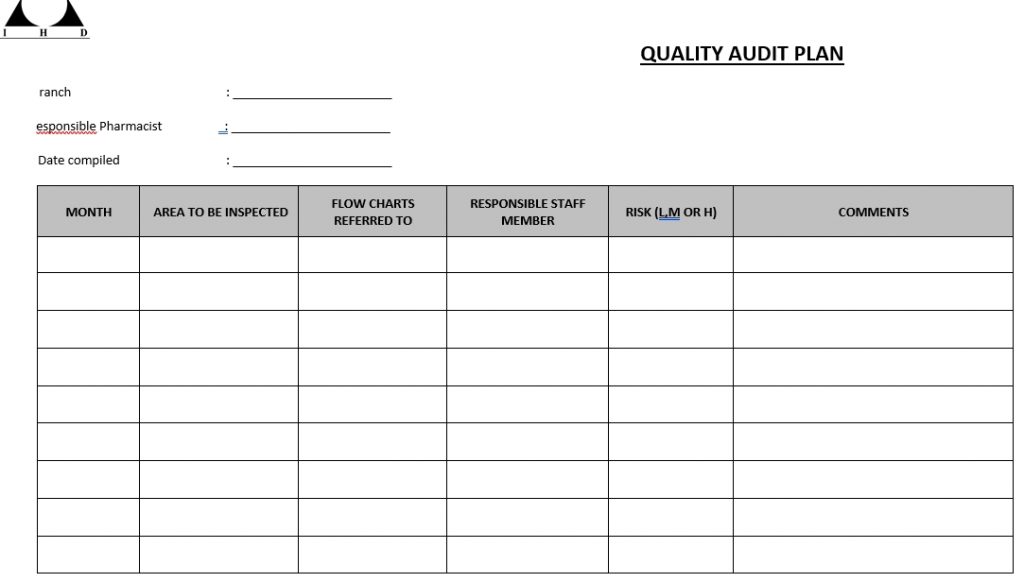 Audit Plan Template | room surf.com