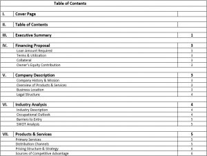 Cleaning Services Operations Plan Template | room surf.com
