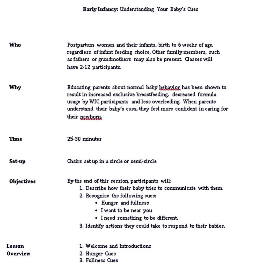 Infant Lesson Plan Templates | room surf.com