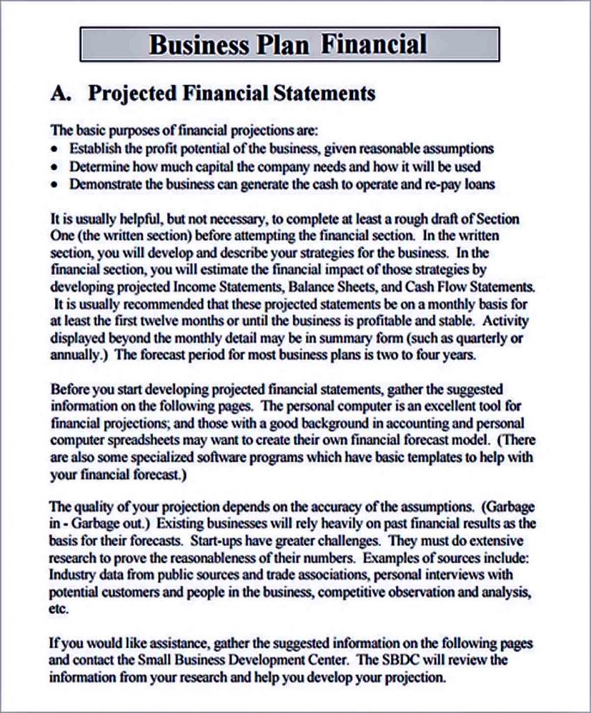 Financial Business Plan Templates | room surf.com