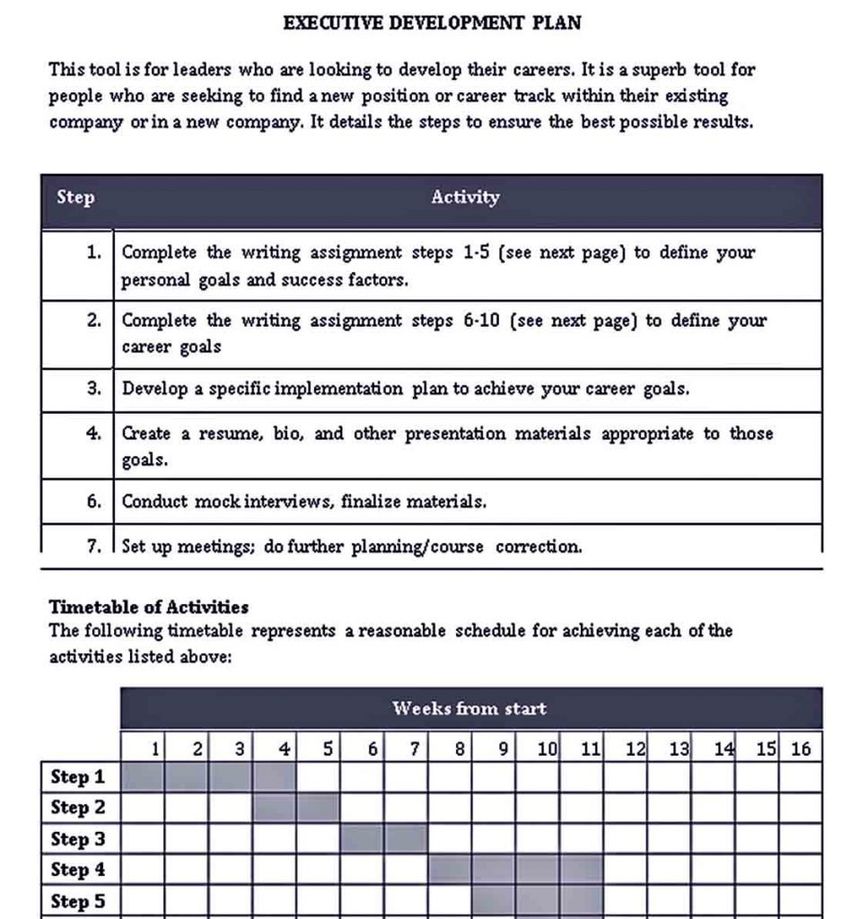 Individual Development Plan Templates | room surf.com