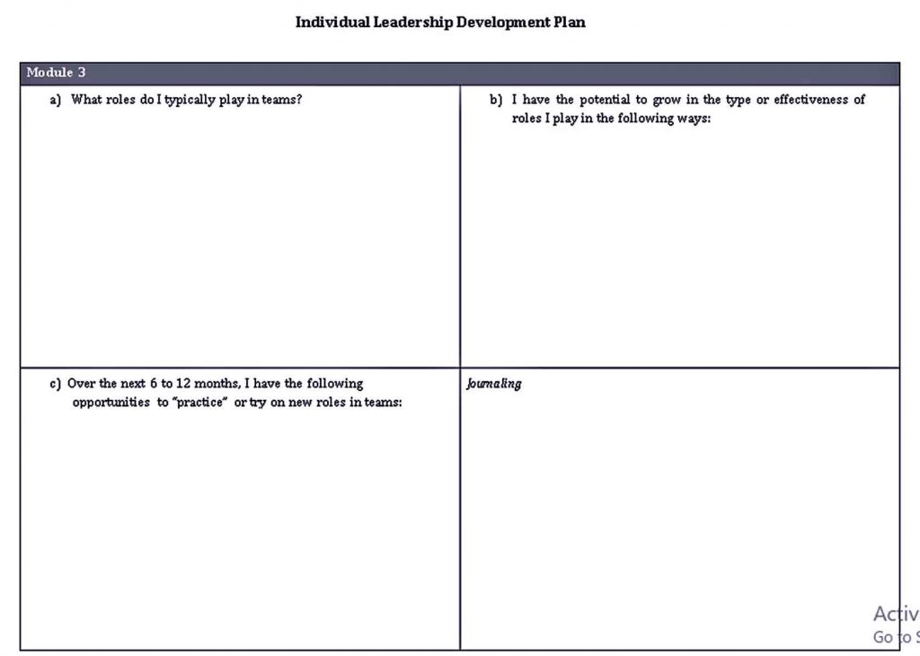 Individual Development Plan Templates | room surf.com