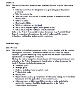 Information Technology Project Plan Template | room surf.com