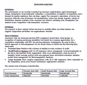 Insurance Business Plan Templates | room surf.com