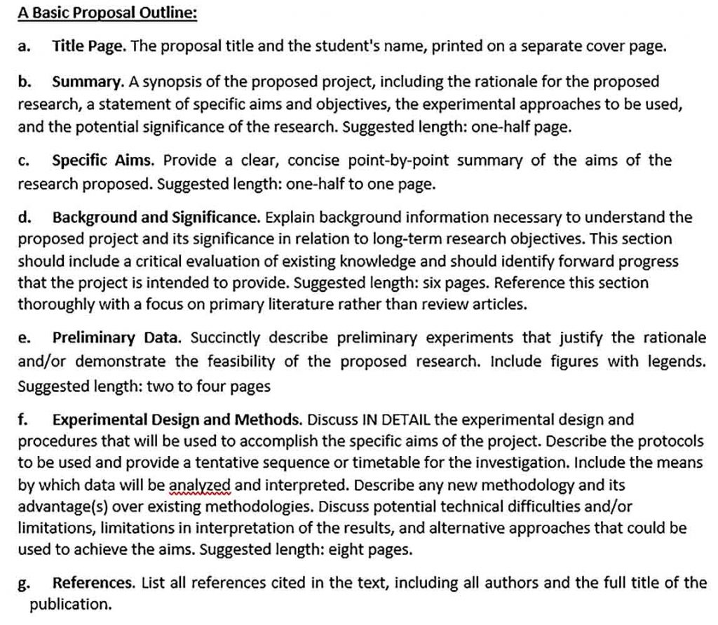 Topic Proposal Outline Templates | room surf.com
