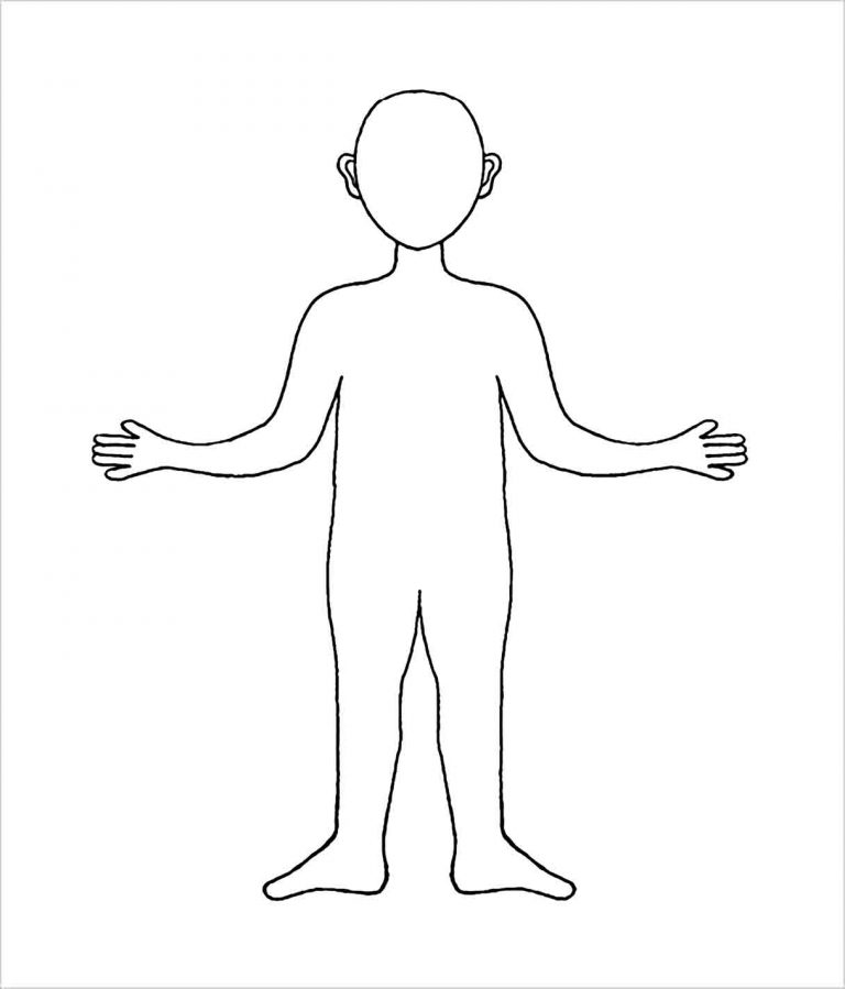 Human Body Template | room surf.com