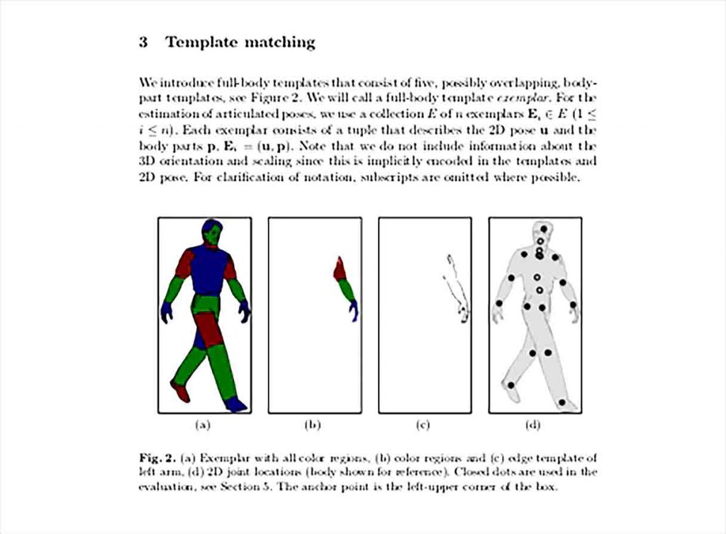 Human Body Template | room surf.com