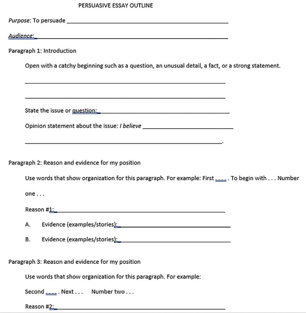 Free Outline Example and Templates | room surf.com