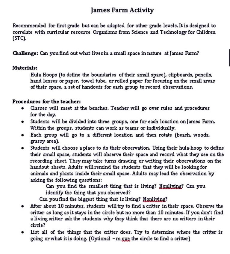 Lesson Plan For 1st Grade Templates | room surf.com