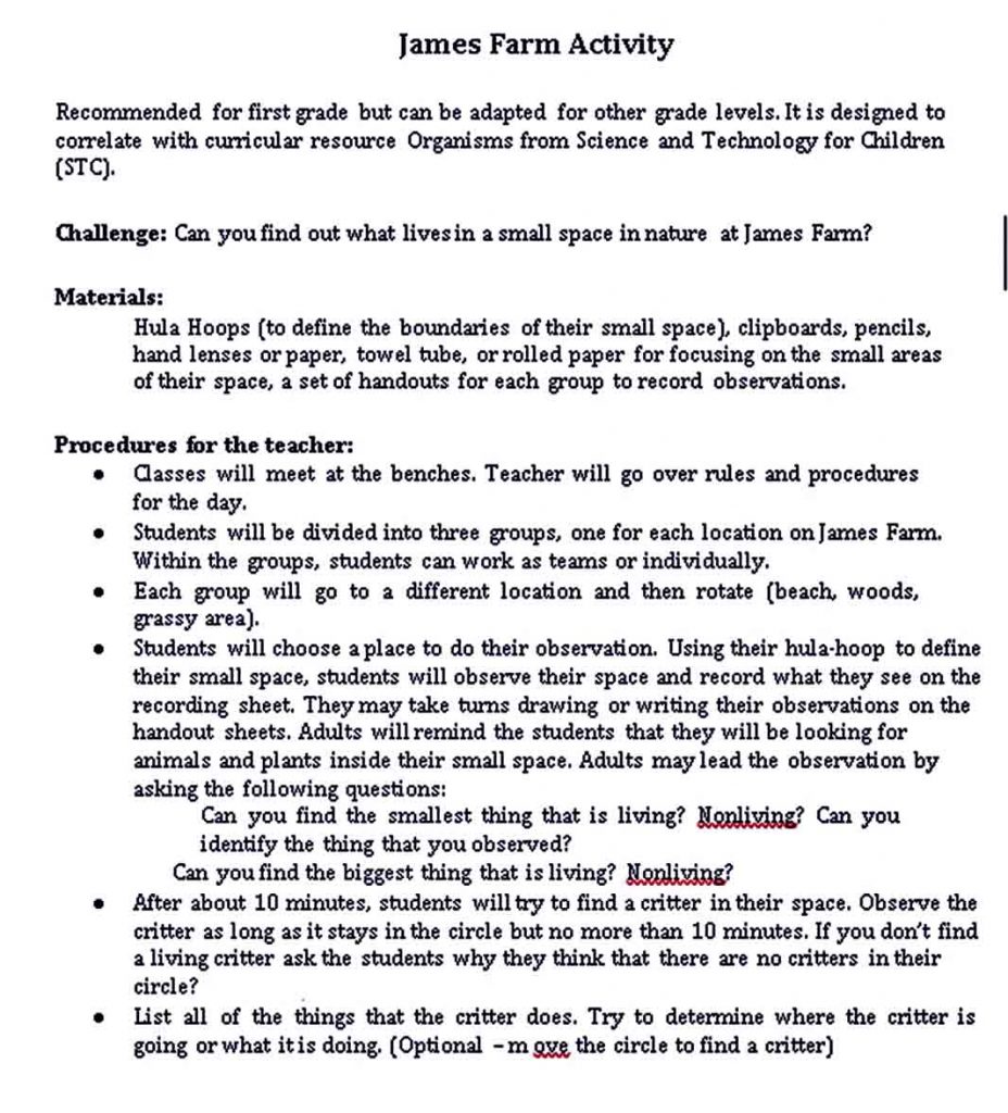 Lesson Plan For 1st Grade Templates | room surf.com