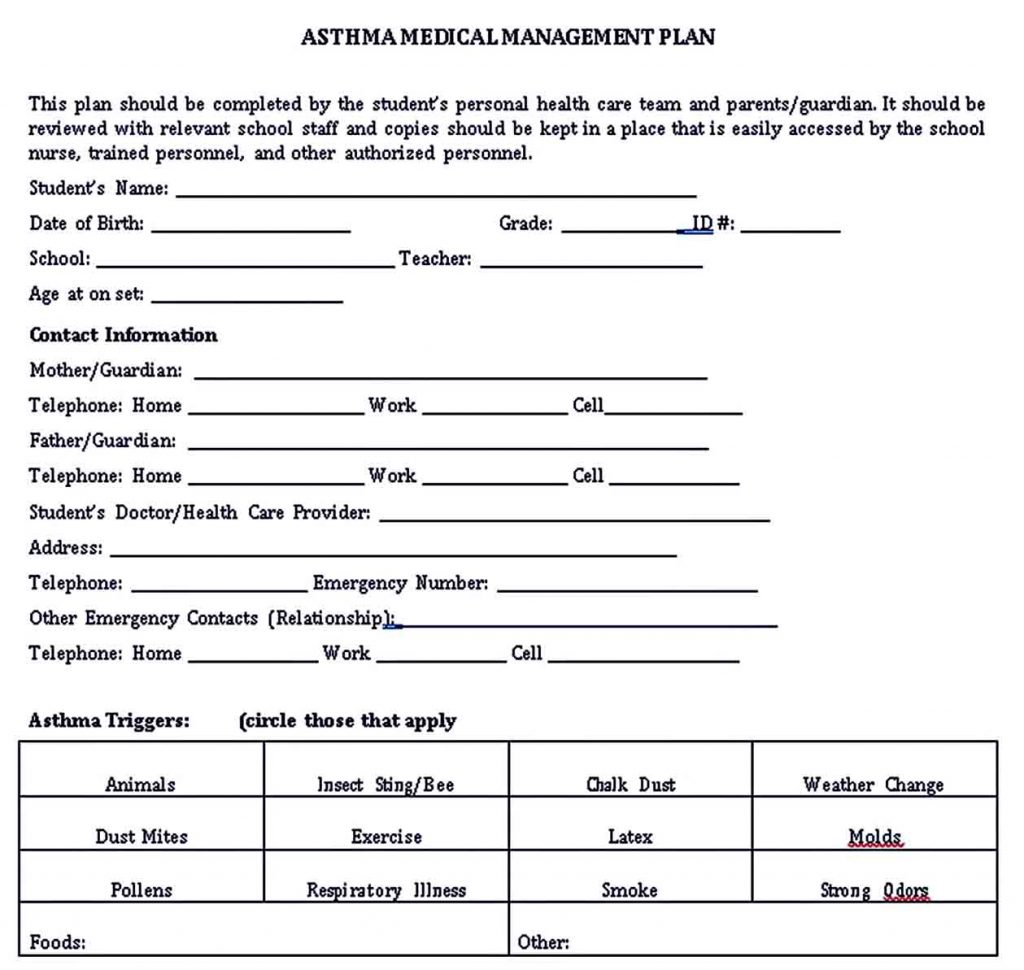 Management Plan Templates | room surf.com