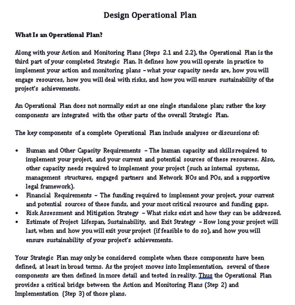 Operational Plan Template | room surf.com