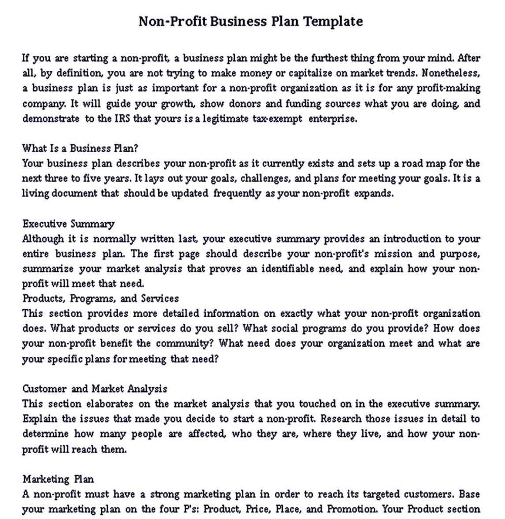Non-Profit Business Plan Templates | room surf.com