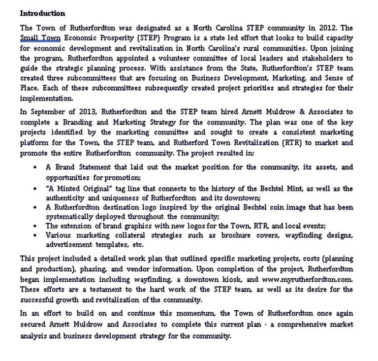 Market Analysis Business Plan Template | room surf.com