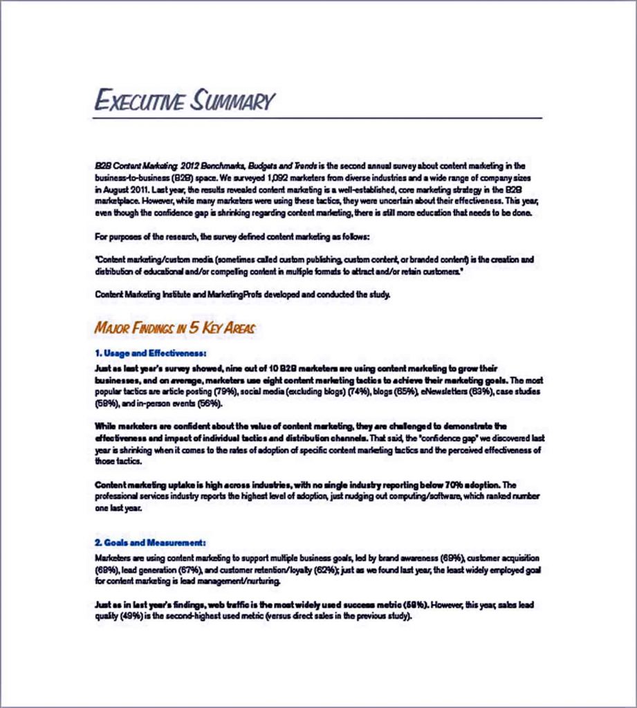 Marketing Plan Executive Summary Templates | room surf.com