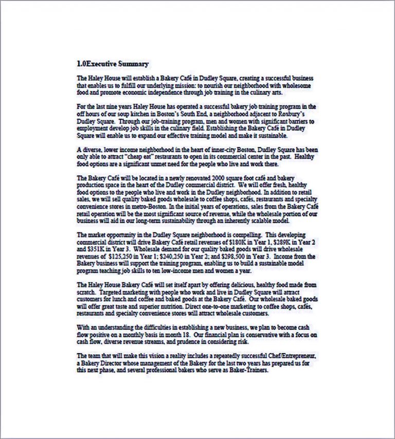 Marketing Plan Executive Summary Templates | room surf.com