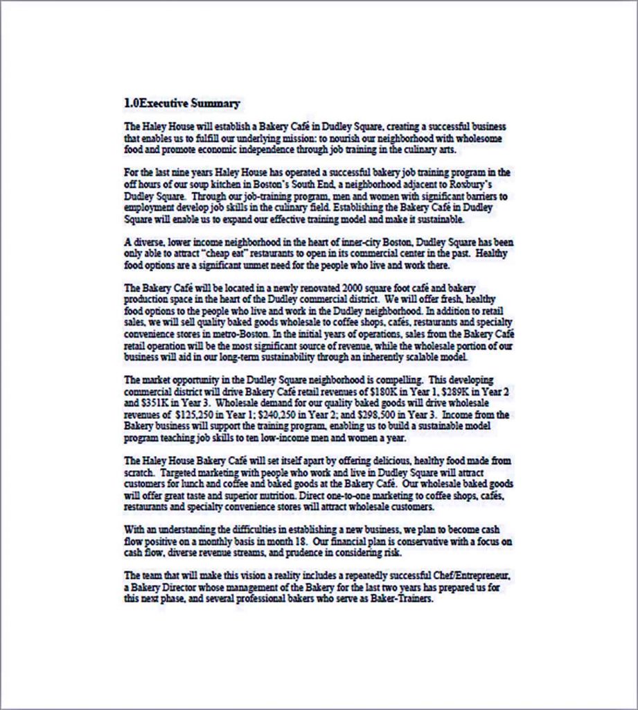 Marketing Plan Executive Summary Templates | room surf.com