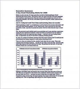 Marketing Plan Executive Summary Templates | room surf.com