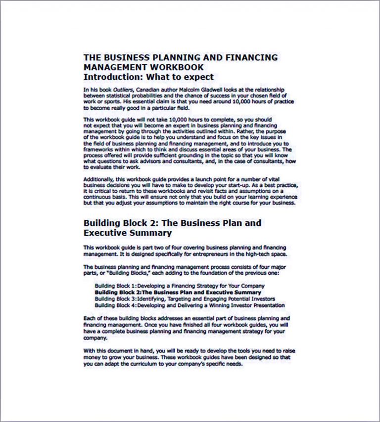 Marketing Plan Executive Summary Templates | room surf.com