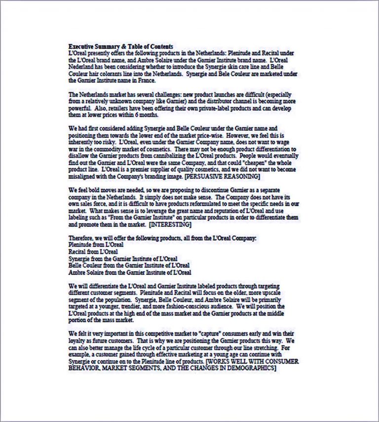 Marketing Plan Executive Summary Templates | room surf.com