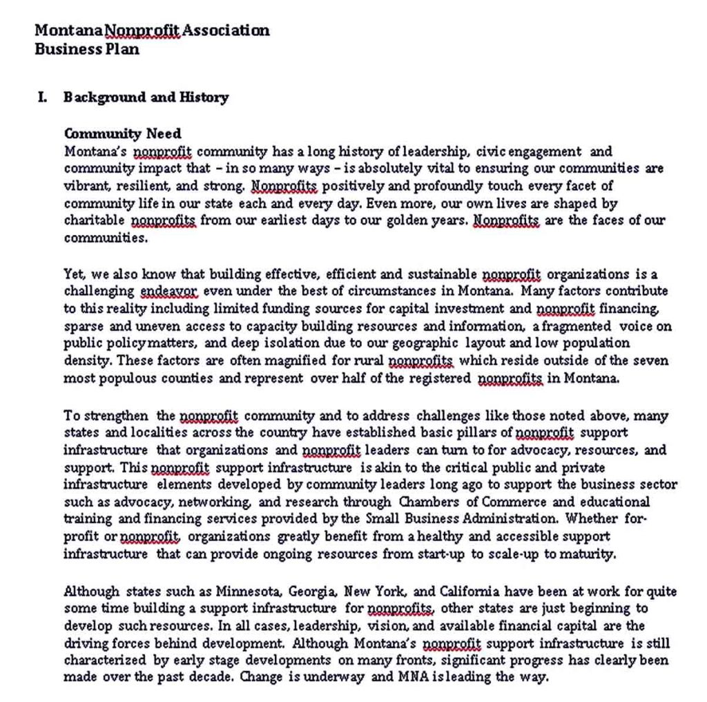 Non-Profit Business Plan Templates | room surf.com