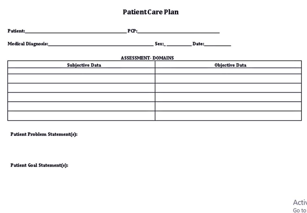 Patient Care Plan Template | room surf.com