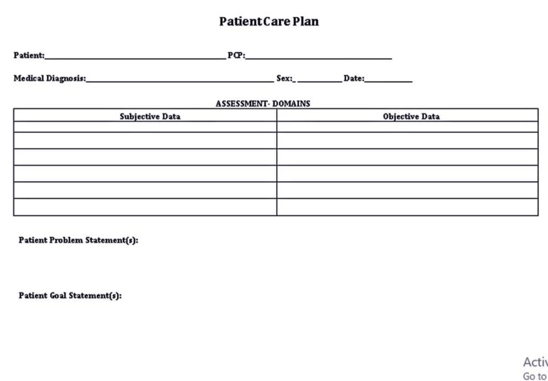 Patient Care Plan Template | room surf.com