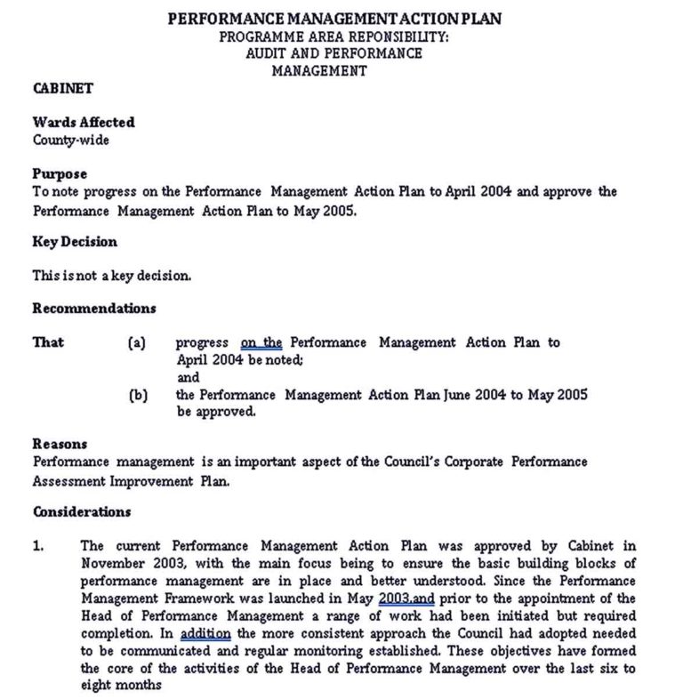 Performance Action Plan Templates | room surf.com