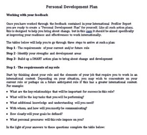 Personal Business Plan Template | room surf.com