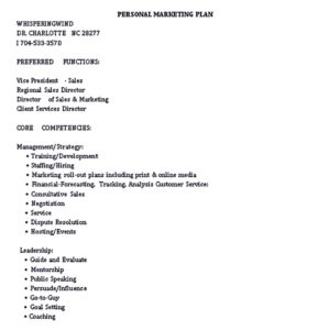 Personal Marketing Plan Template | room surf.com