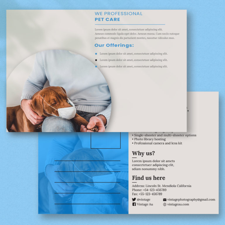 Pet Clinic Postcard Free Template in PSD | room surf.com