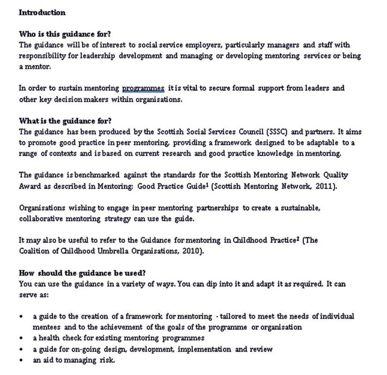 Mentoring Action Plan Templates | room surf.com