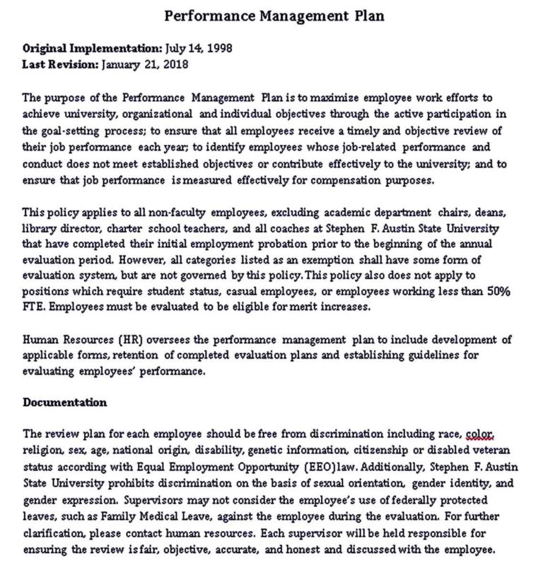 erformance Management Plan Template | room surf.com