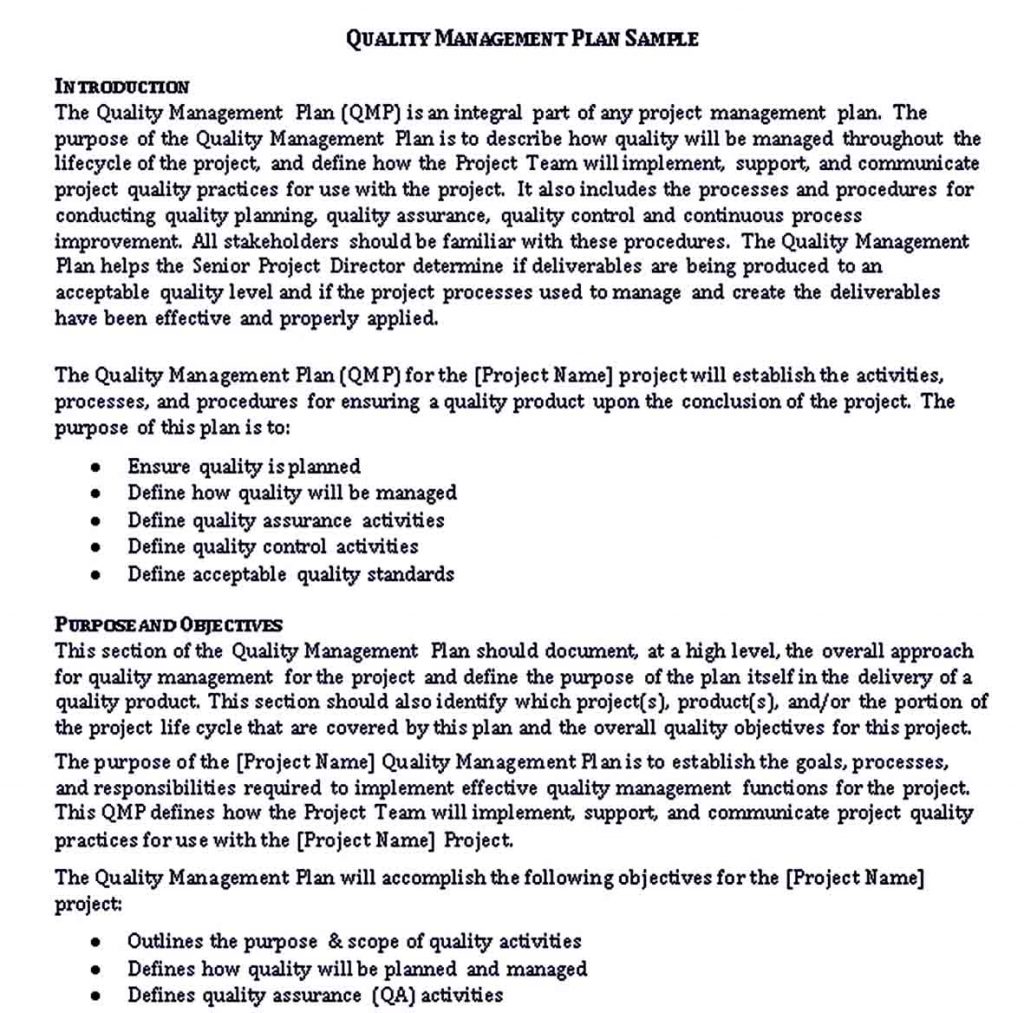 Management Plan Example Template | room surf.com