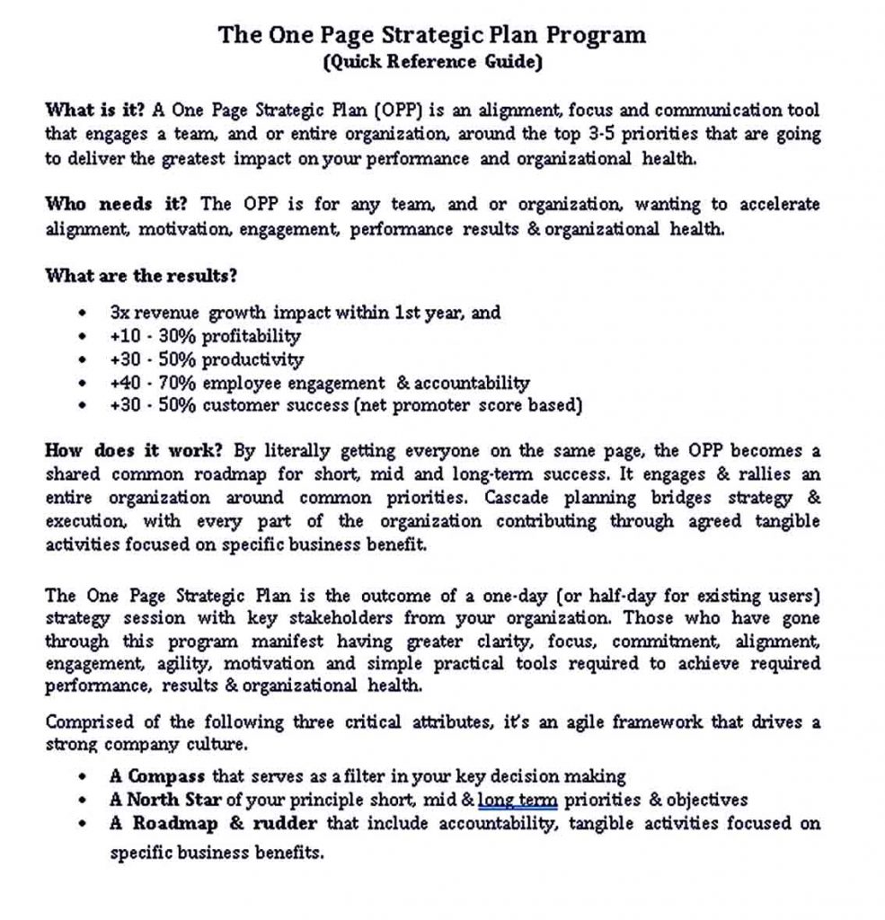 One Page Strategic Plan Template | room surf.com