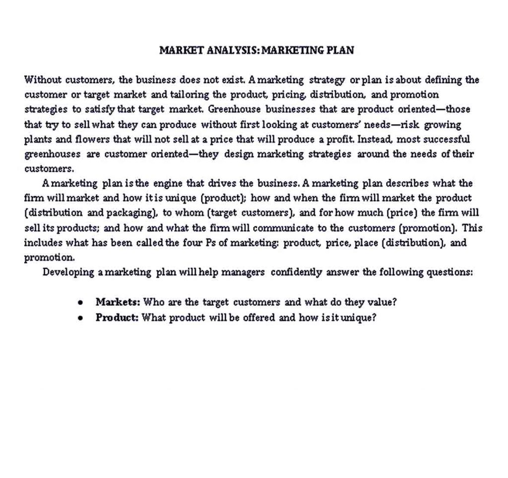 Market Analysis Business Plan Template | room surf.com