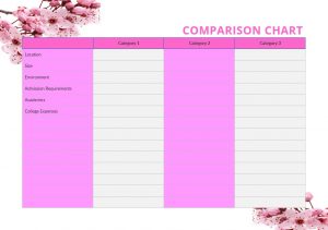 10+ Comparison Chart Template | room surf.com