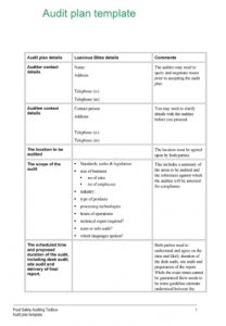 7+ Audit Plan Template Samples | room surf.com