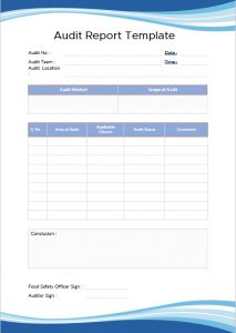 10+ Audit Report Template | room surf.com