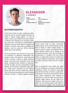 10+ Autobiography psd template free | room surf.com