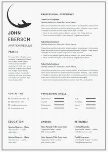 10+ Aviation Resume free psd template | room surf.com