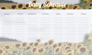 10+ Baby Schedule psd template free | room surf.com