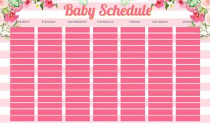 10+ Baby Schedule psd template free | room surf.com