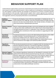 5+ Behavior Support Plan Template | room surf.com